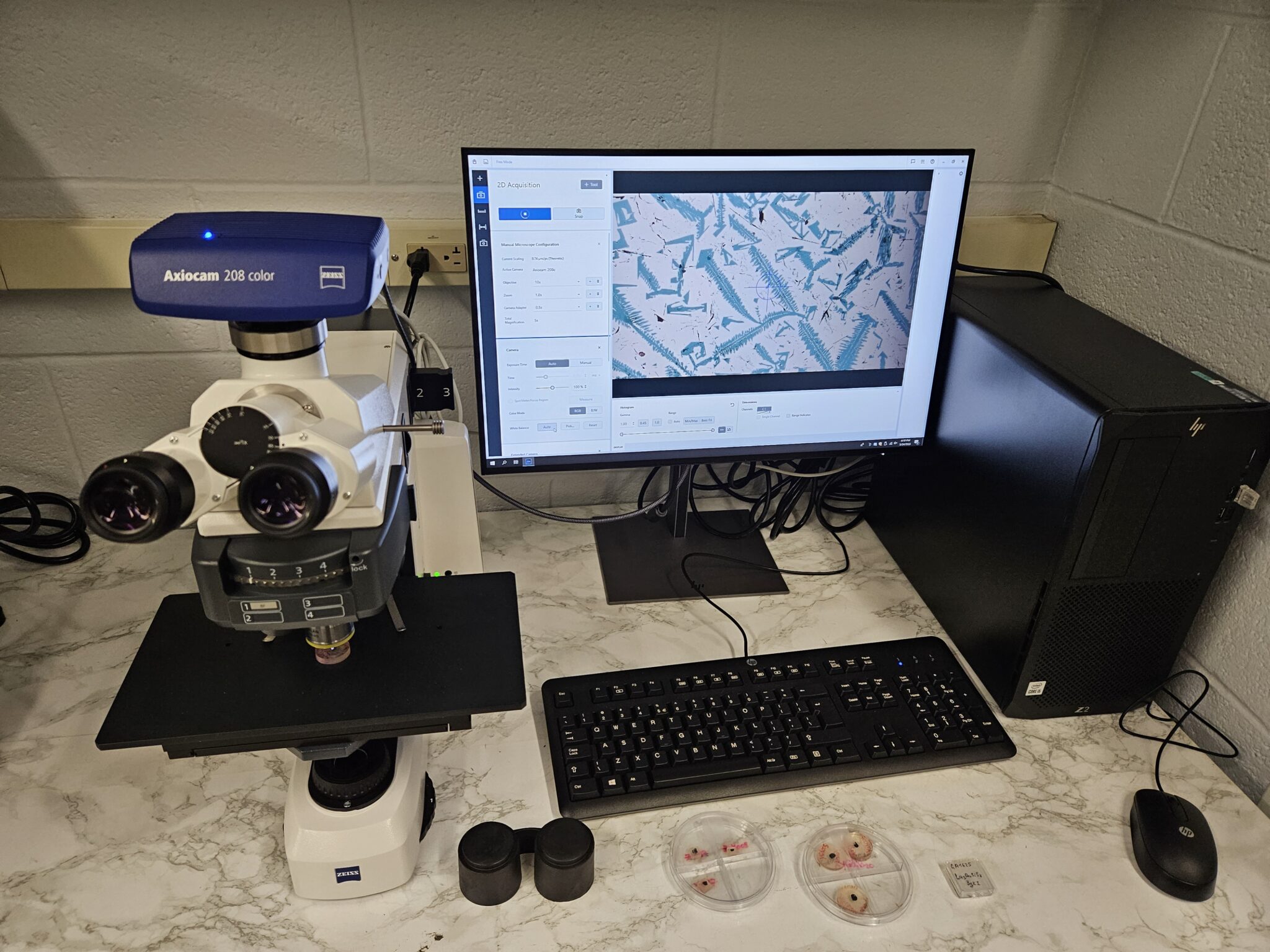 In Lab – Akopov Lab