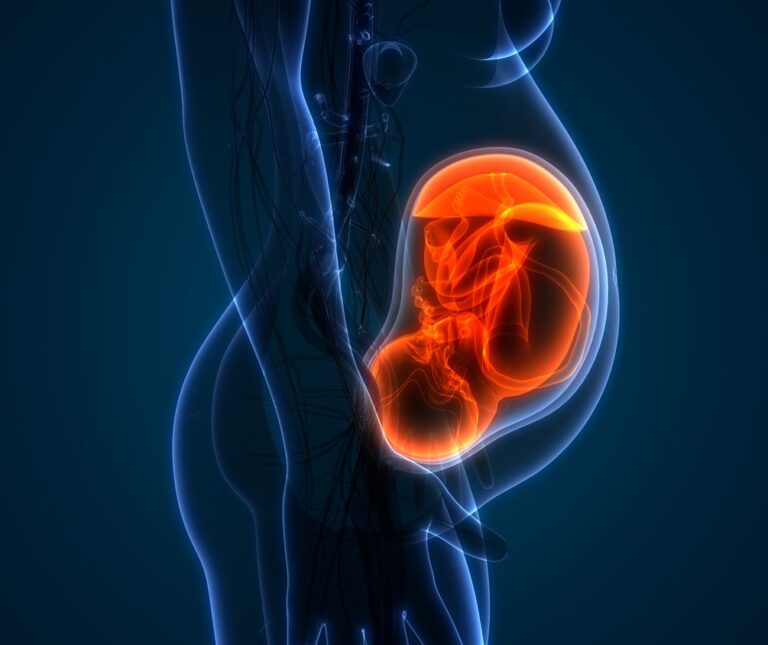 Recent Publications – Aleksunes Lab