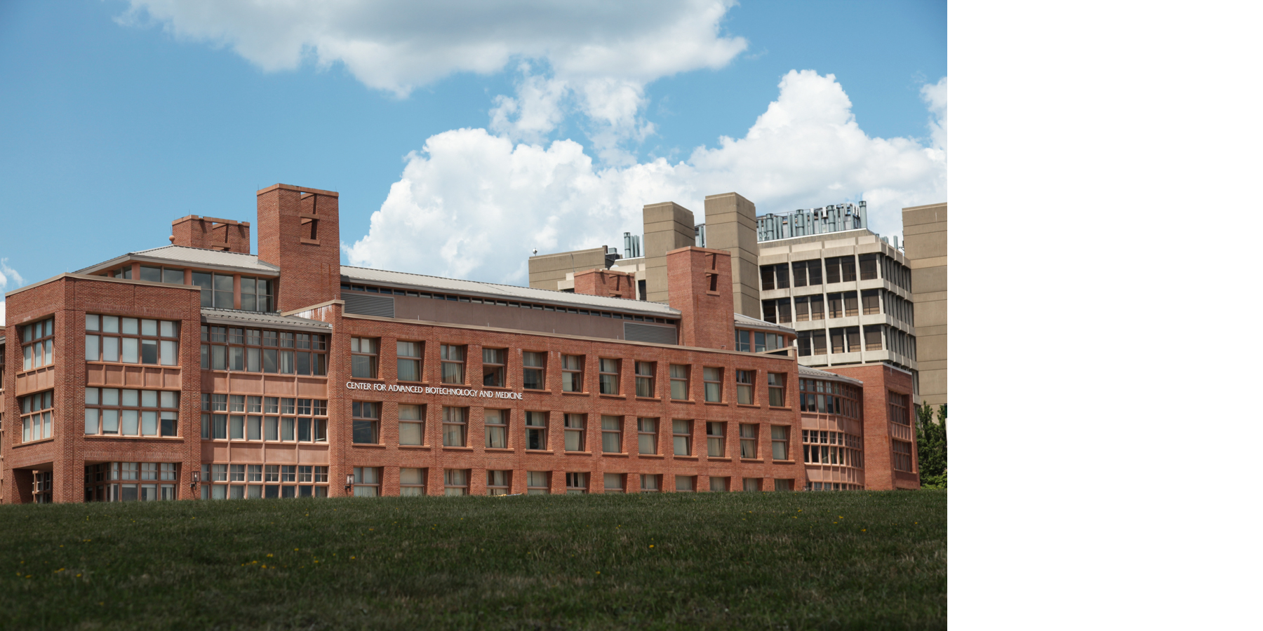 Contact – Ann Stock Laboratory