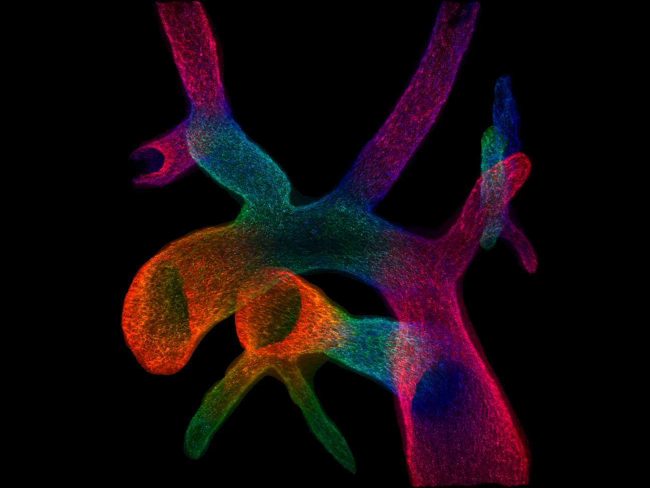 Image Galery - Astrof Lab