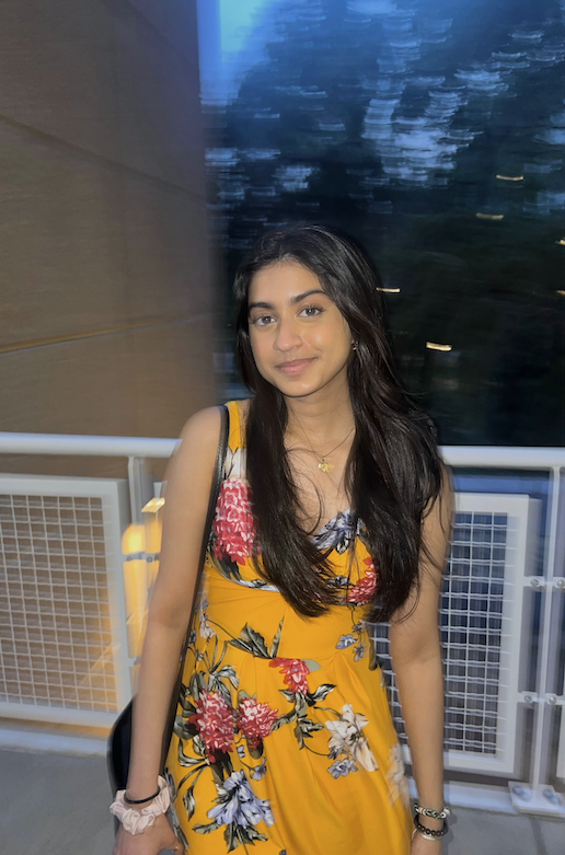 Executive Board – Biomedical Engineering Society