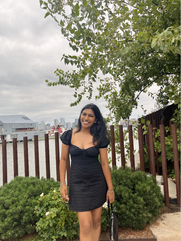 Executive Board – Biomedical Engineering Society