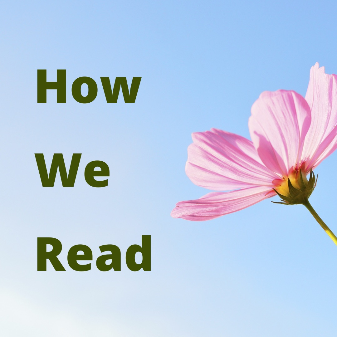 How We Read: Points of View - Books We Read