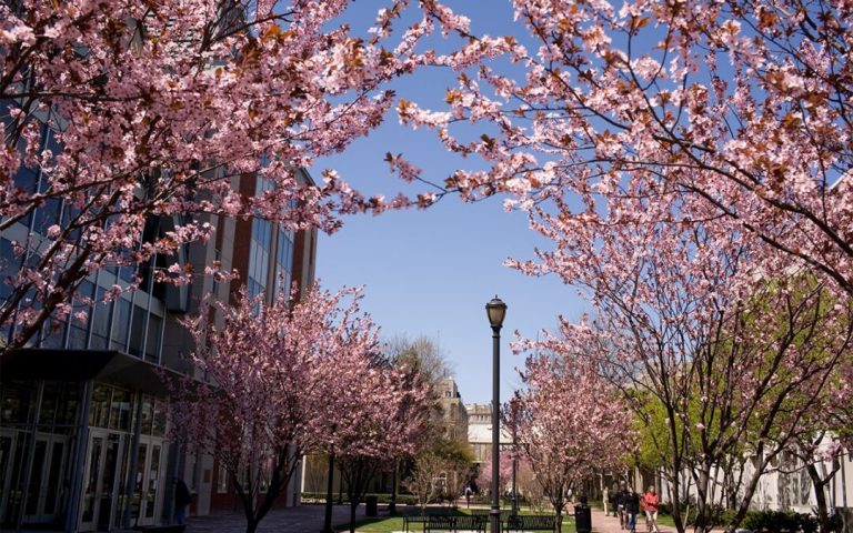 Participants – CPLT Workshop