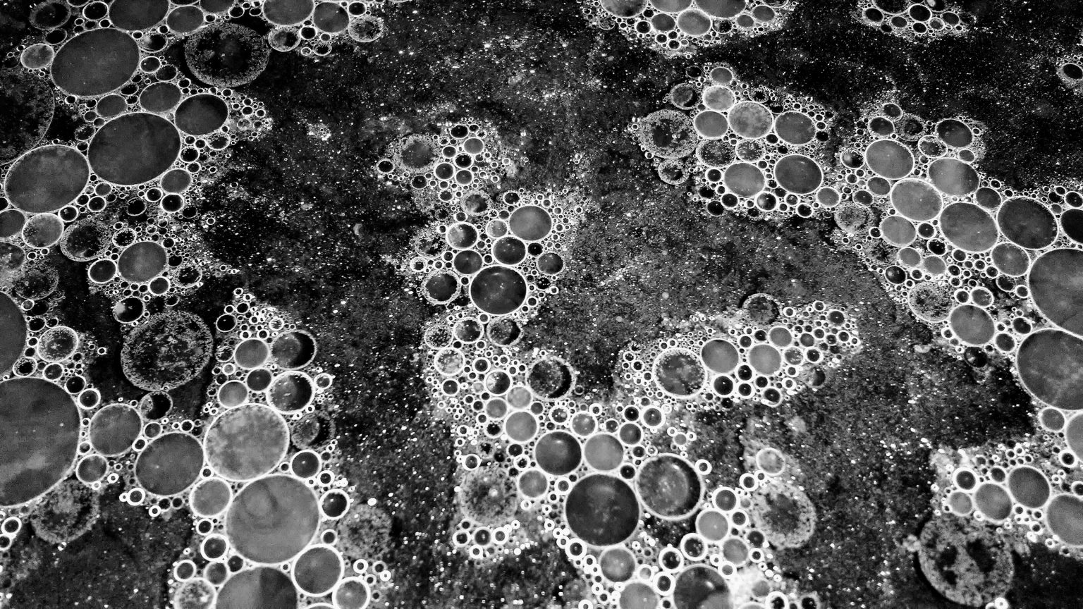 Research – Dignon Lab