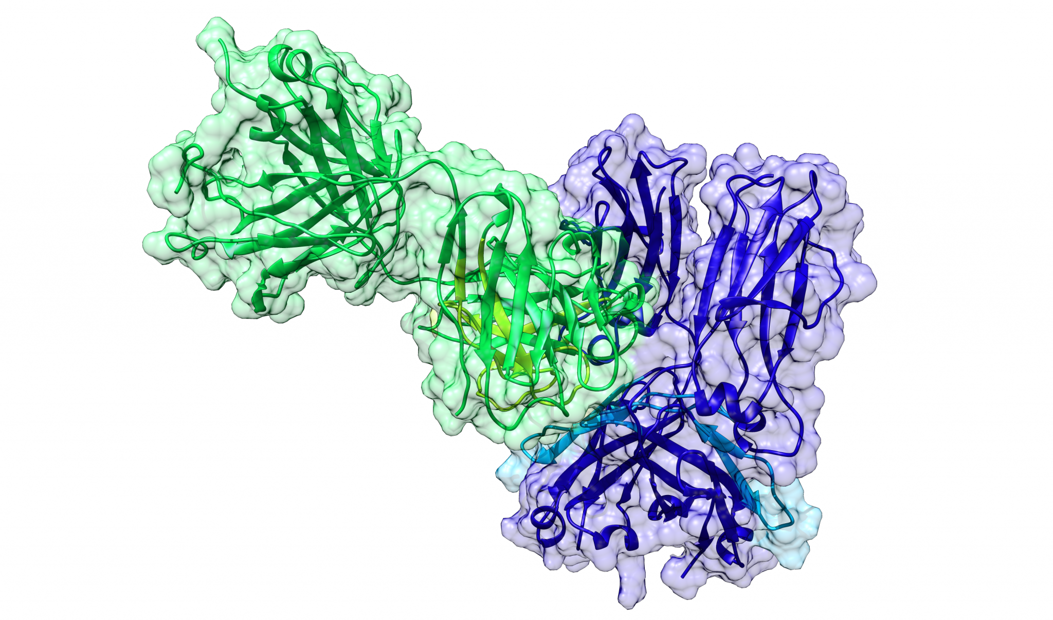 Research – Dignon Lab