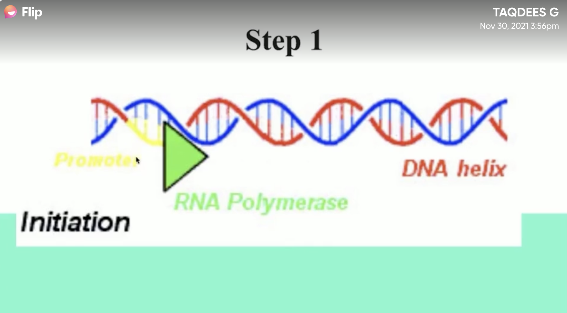 Rewriting DNA’s Message – ECB Outreach