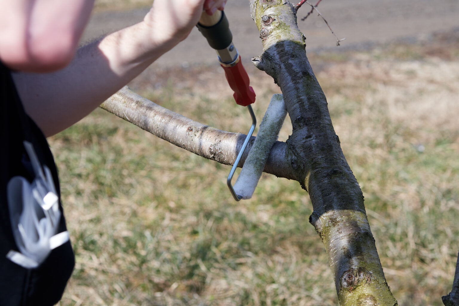 Standard Practices: Contamination, Cleaning, & Controls – Environmental ...