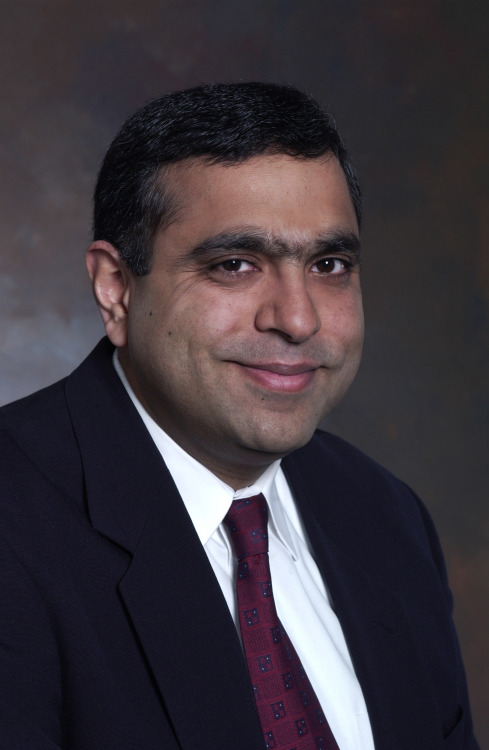 Project Team – Pathways to Science and Engineering Professions