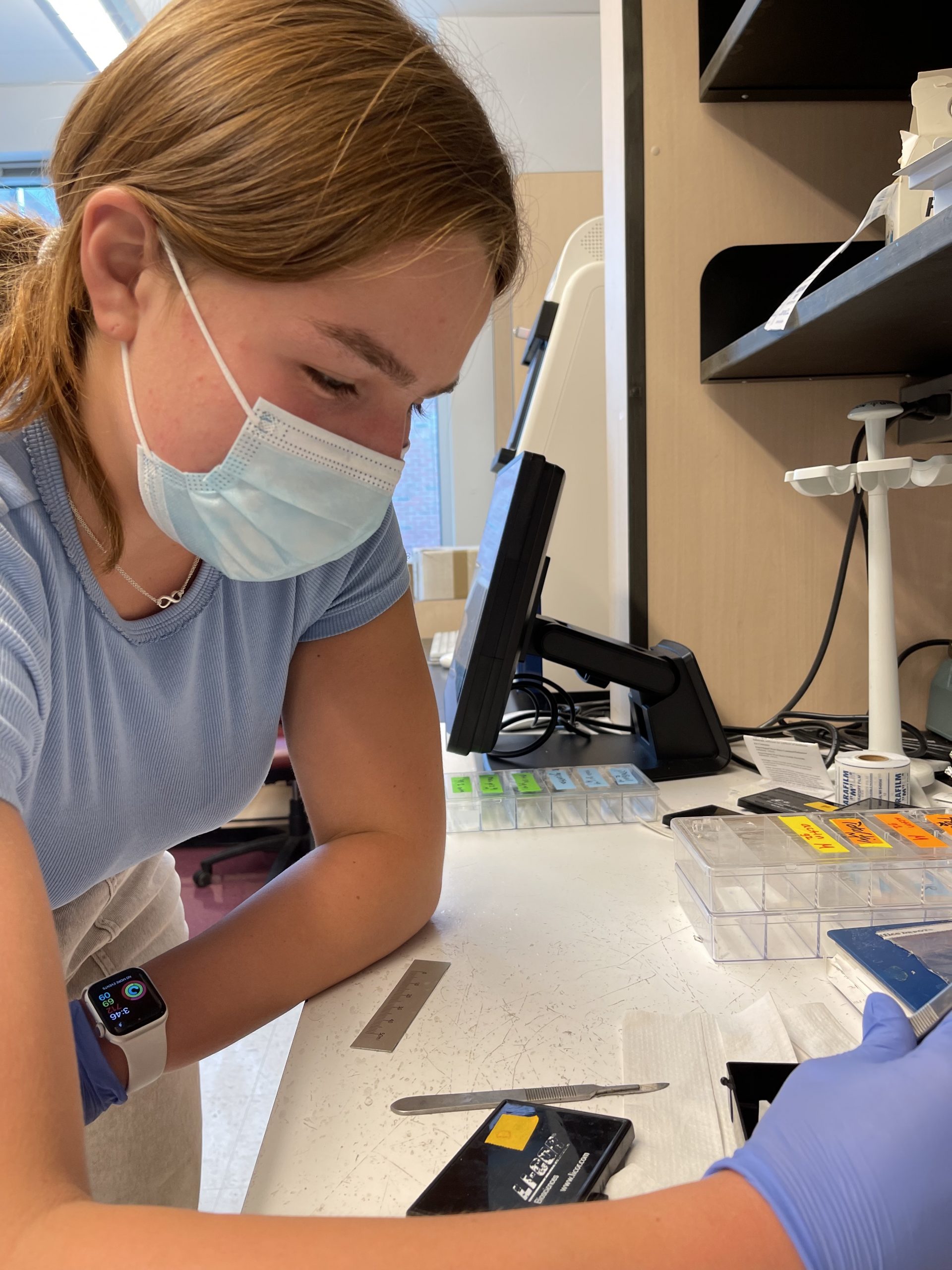 Alysta Paneque - Jacinto Lab
