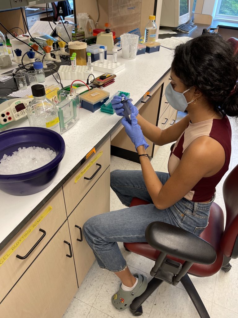 Aparna Ragupathi – Jacinto Lab