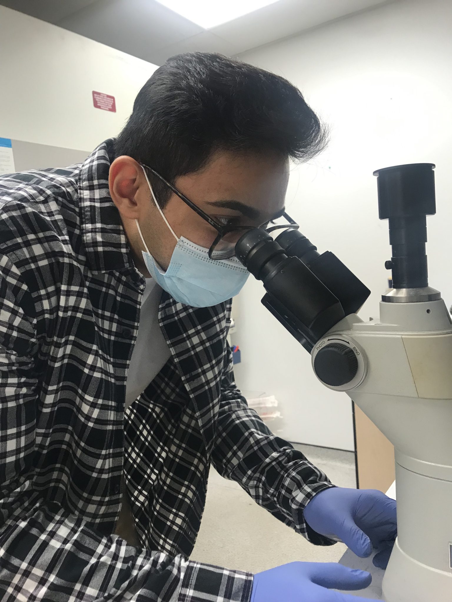 Preet Patel - Jacinto Lab