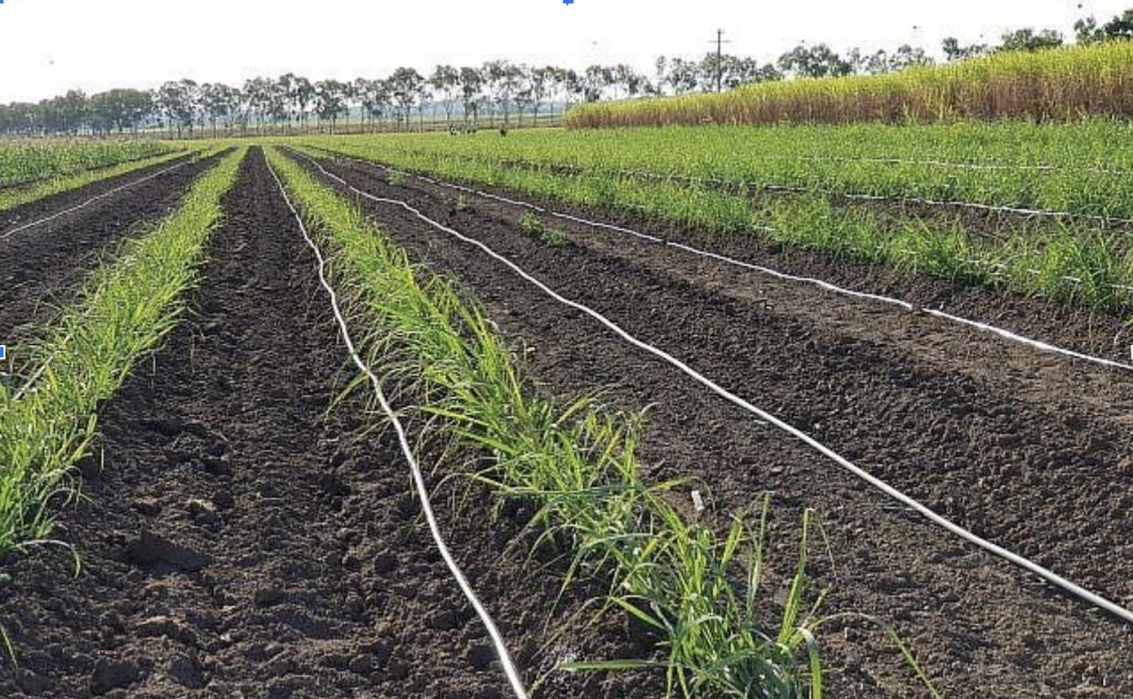 What Became of the Colonies? – Jewish Agriculturalism in the Garden State