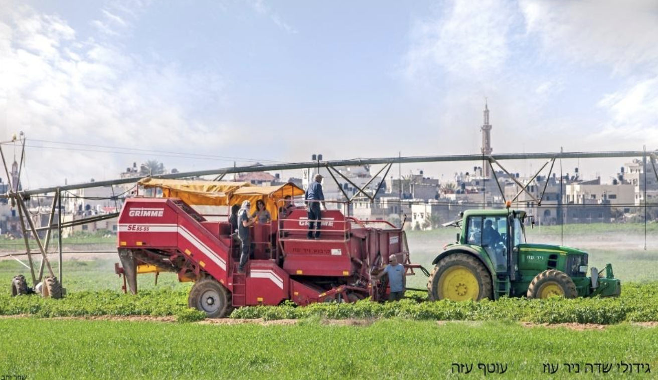 What Became of the Colonies? – Jewish Agriculturalism in the Garden State