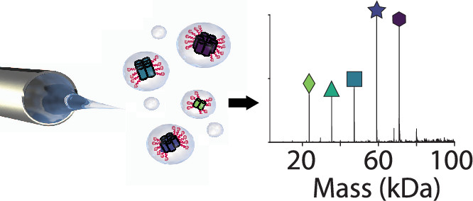 Publications – Jun Wang Lab
