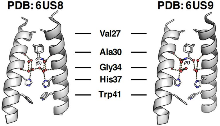 Publications – Jun Wang Lab
