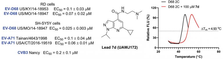 Publications – Jun Wang Lab