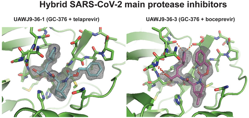 Publications – Jun Wang Lab