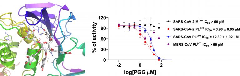 Publications – Jun Wang Lab