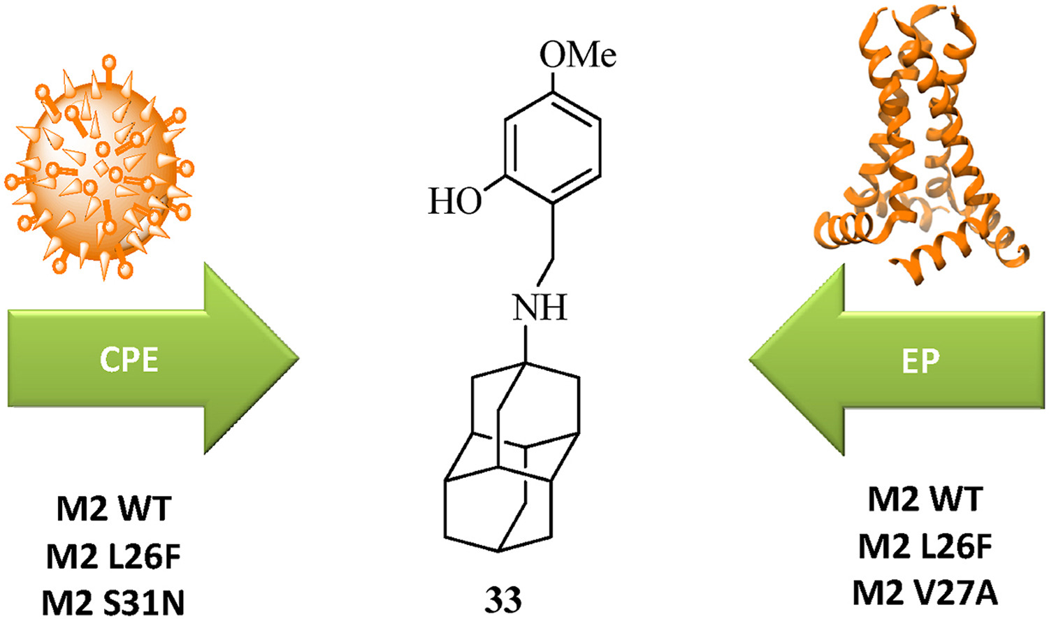 Publications – Jun Wang Lab