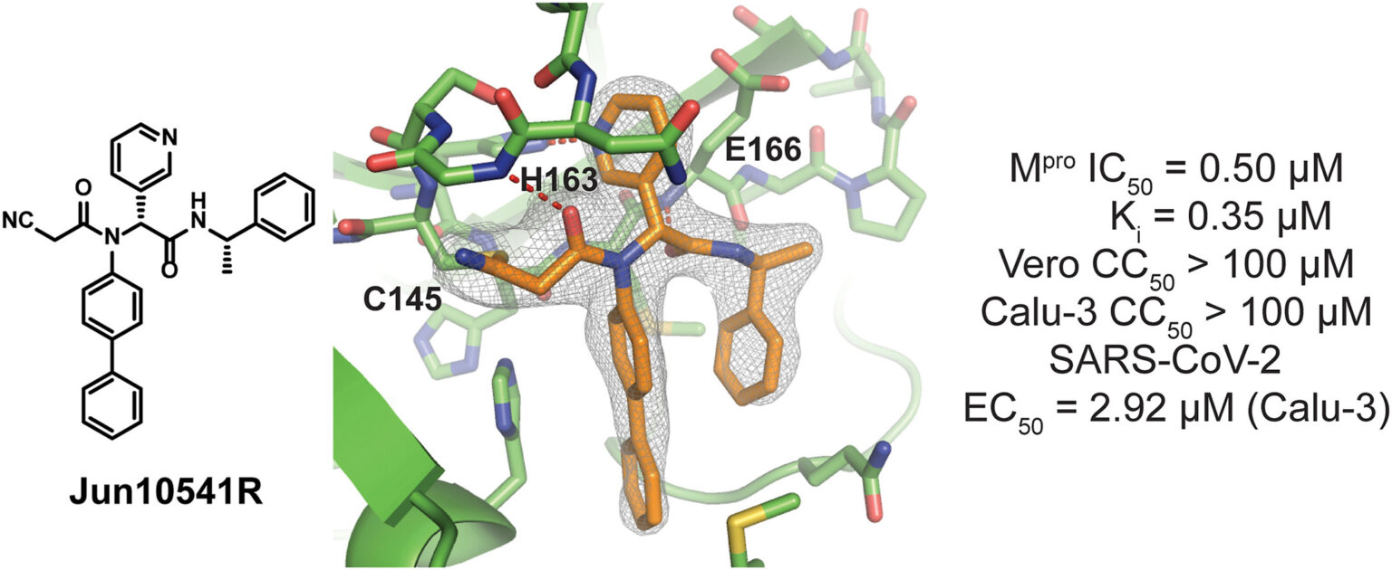 Publications – Jun Wang Lab