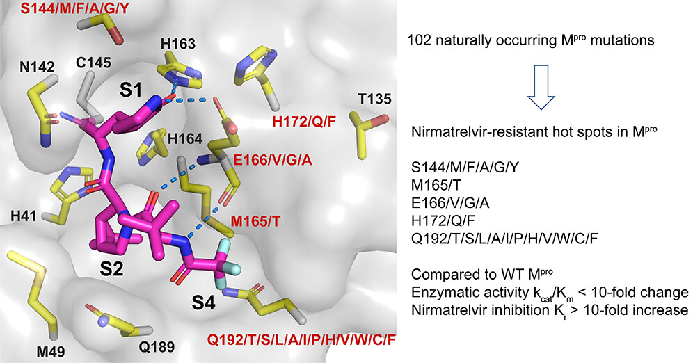 Publications – Jun Wang Lab