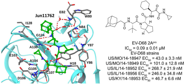 Publications – Jun Wang Lab