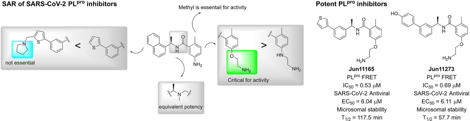 Publications – Jun Wang Lab