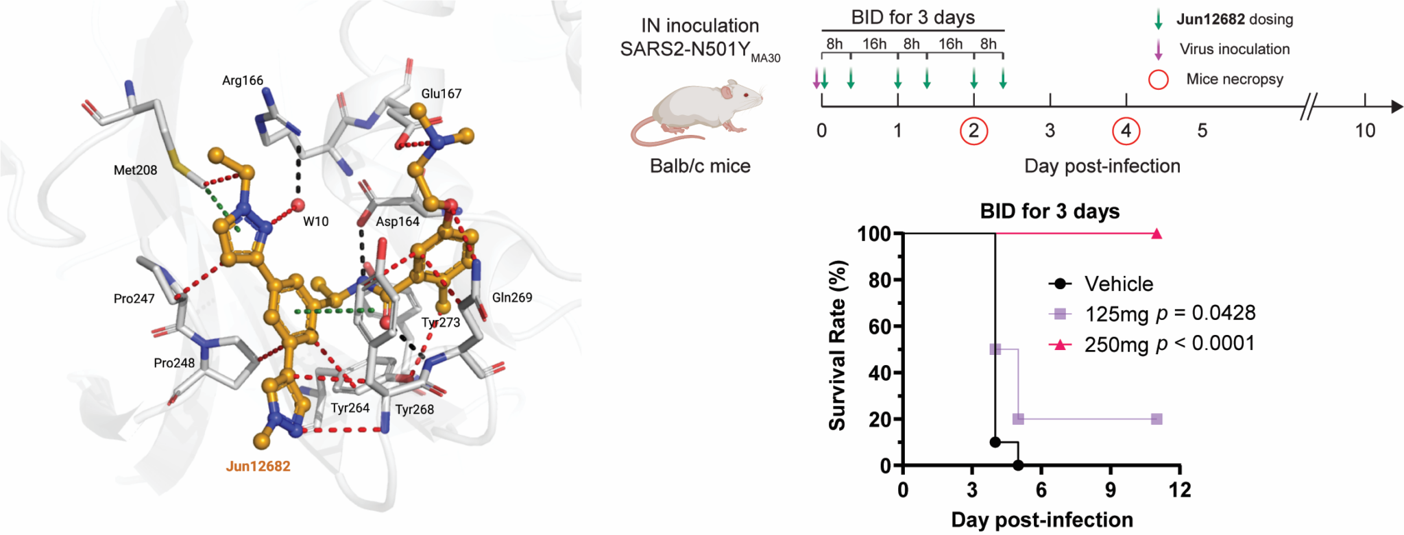 Publications – Jun Wang Lab
