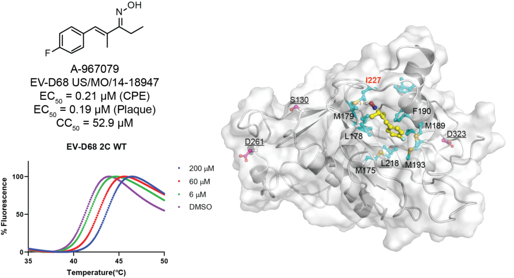 Publications – Jun Wang Lab