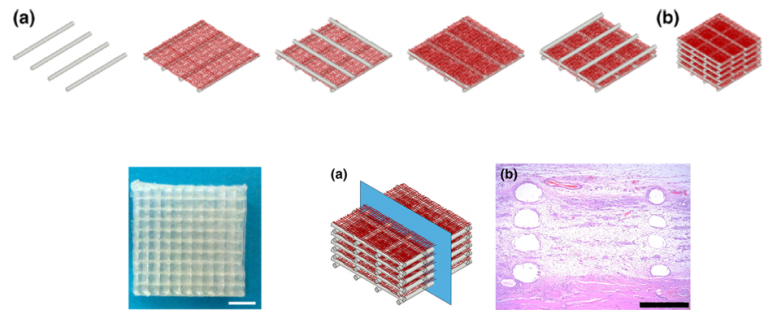 Complex Scaffold Design - Laboratory for Biomaterials Research
