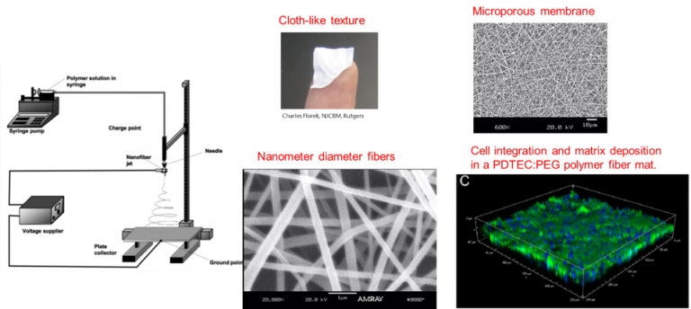 Complex Scaffold Design - Laboratory for Biomaterials Research