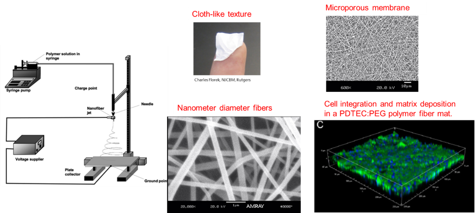 Complex Scaffold Design – Laboratory for Biomaterials Research