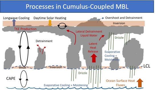 Research – Mark Miller