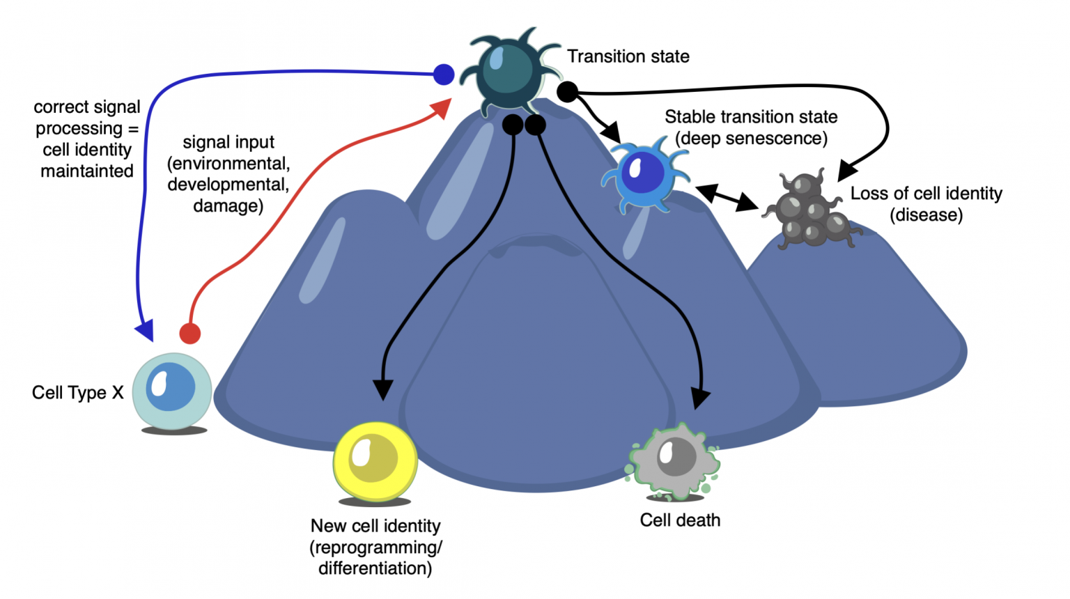 Home - Martínez Zamudio Lab
