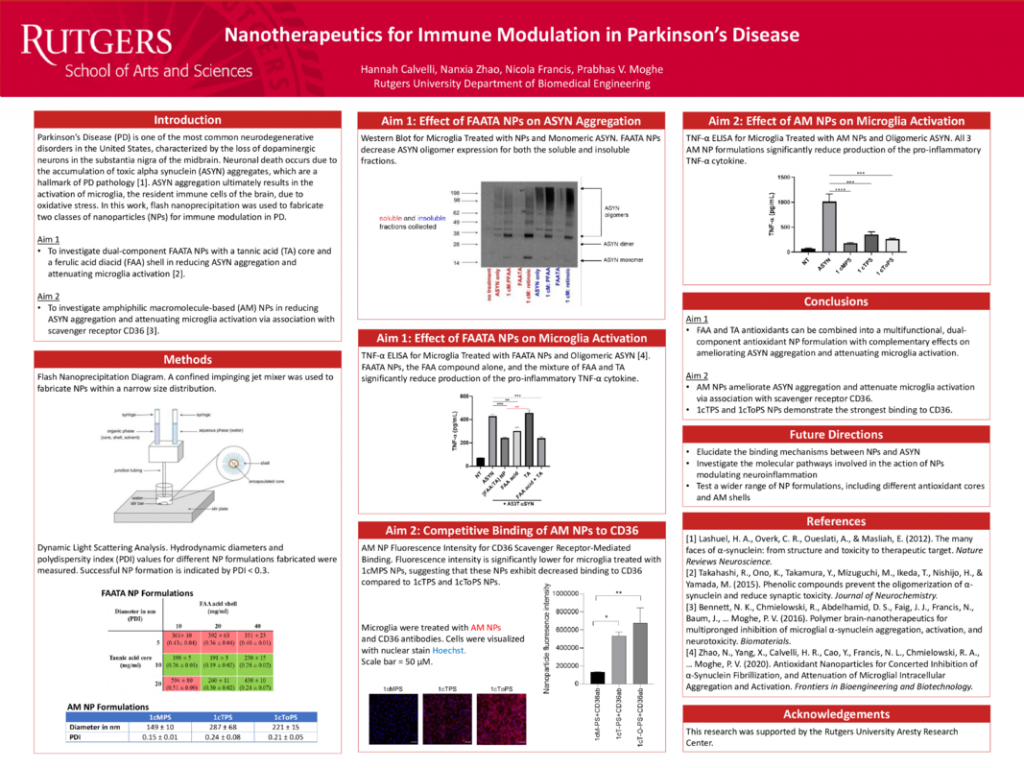 Calvelli, Hannah: Nanotherapeutics for Immune Modulation in Parkinson’s ...