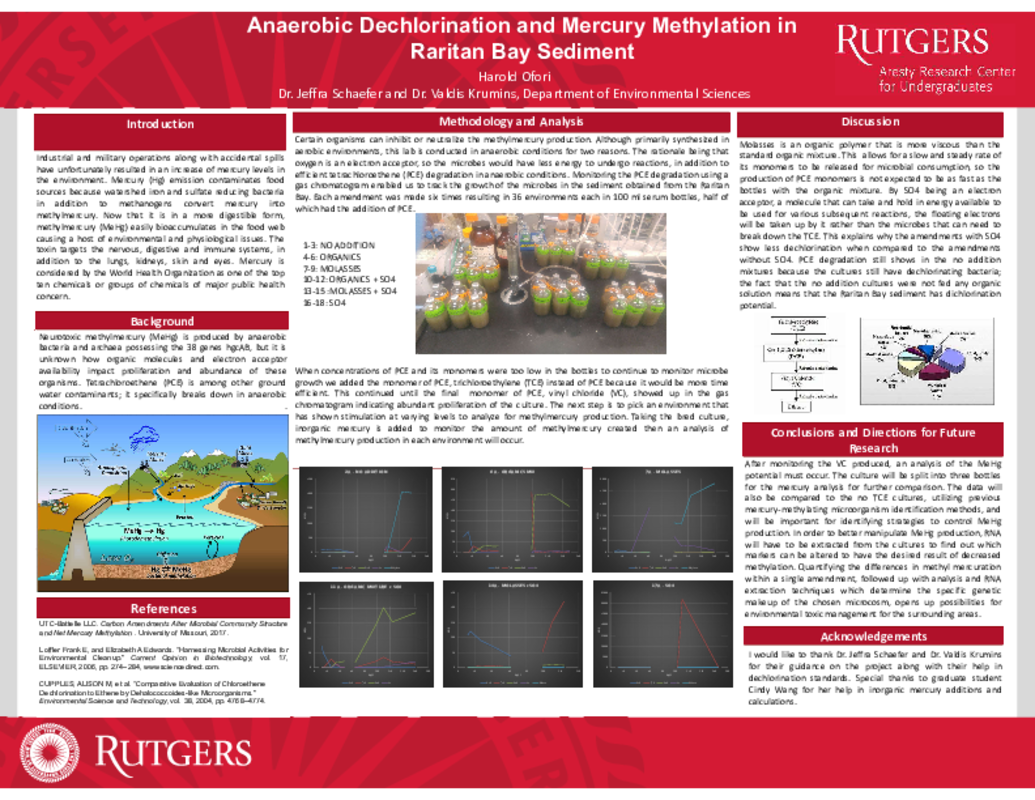 Ofori, Harold: Anaerobic Dechlorination and Mercury Methylation in ...