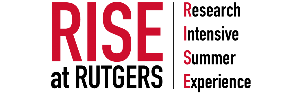 RISE: Research Intensive Summer Experience – Senior Exhibits