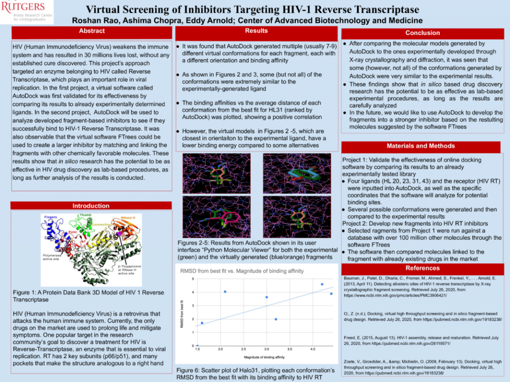 Rao, Roshan: Virtual Screening of Inhibitors Targeting HIV-1 Reverse ...