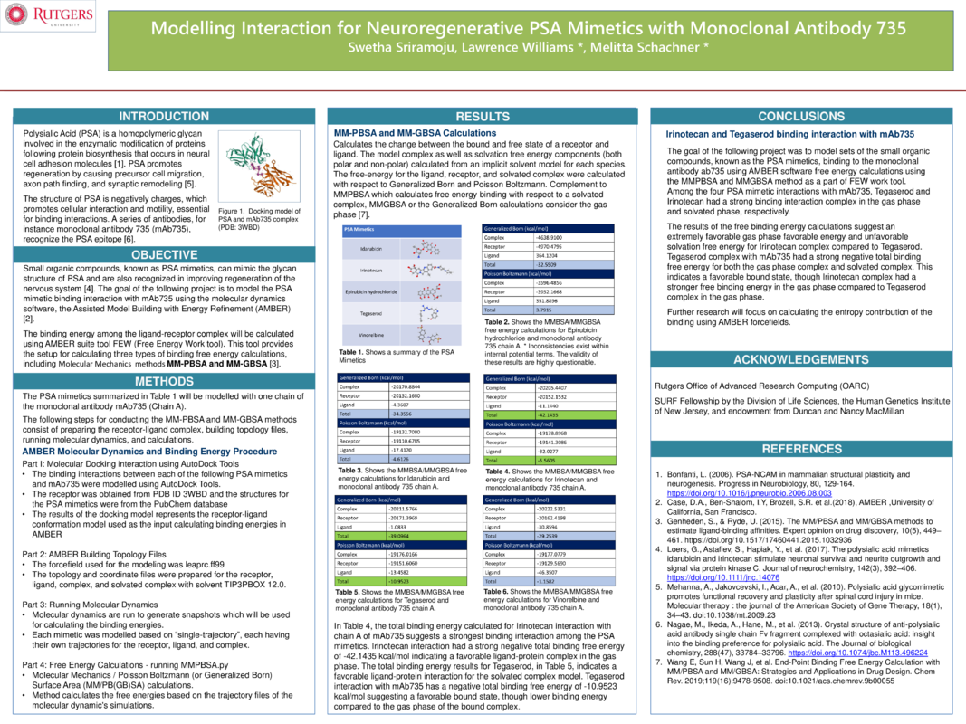 Sriramoju, Swetha: Modelling Interaction for Neuroregenerative PSA ...