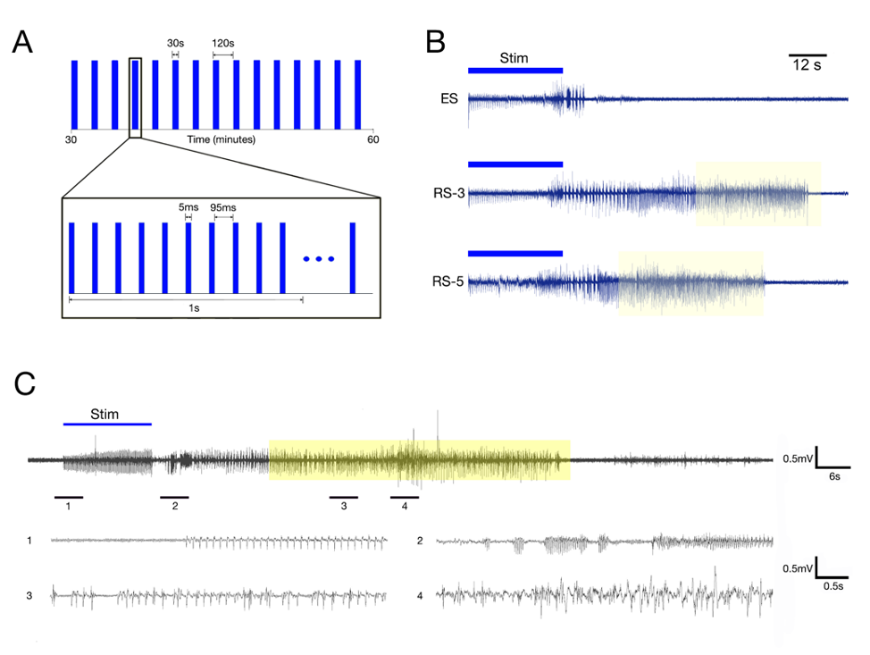 Brain Connectivity and Neuroimaging – Neurological Surgery