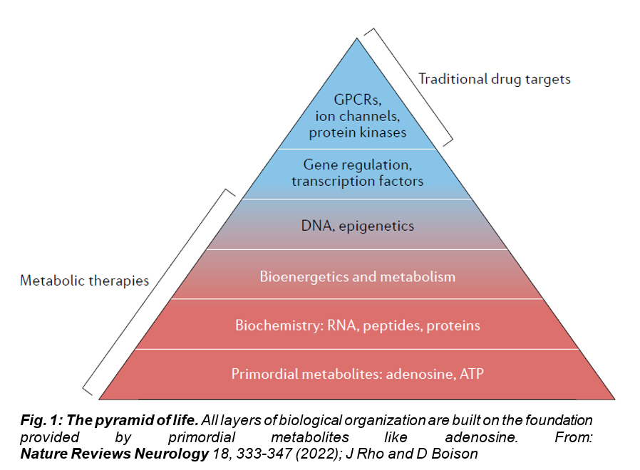 Epilepsy and Traumatic Brain Injury – Neurological Surgery