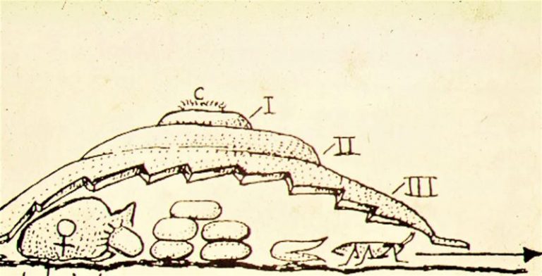 Armored Scales – Nursery IPM