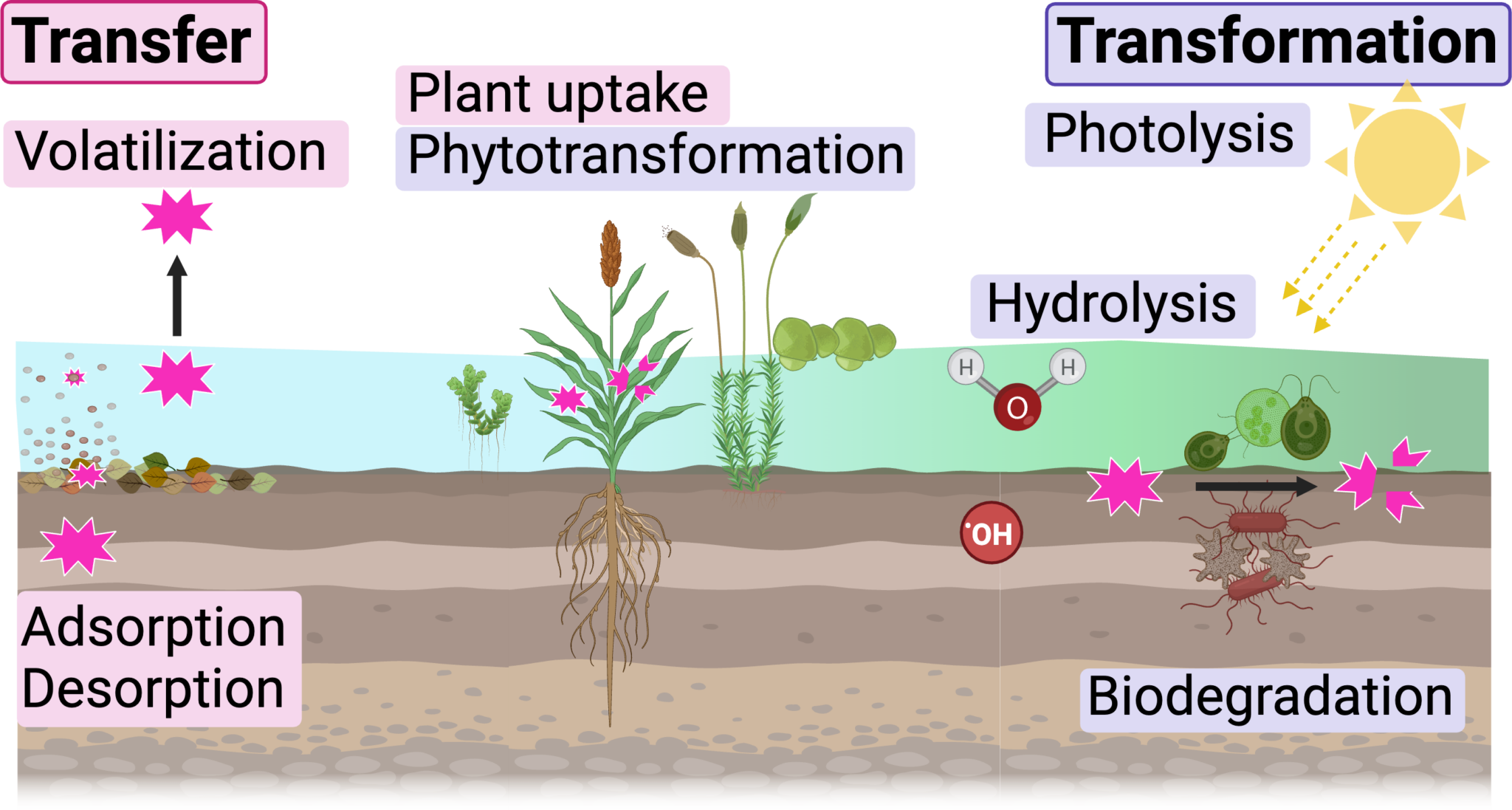 Research – PasseportLab