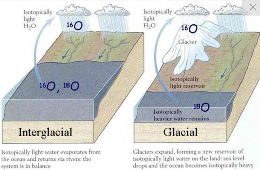 Water Sampling with a CTD – PUFINS at Sea