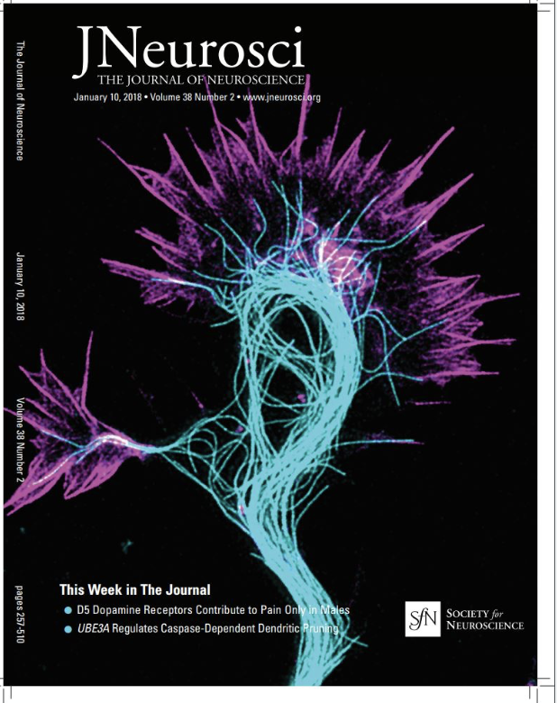 Publications/Patents – Sahoo Lab