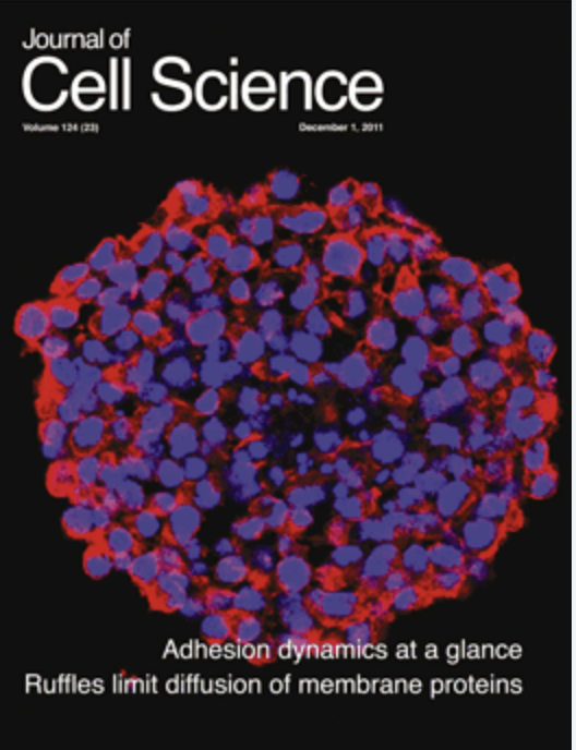 Publications/Patents – Sahoo Lab