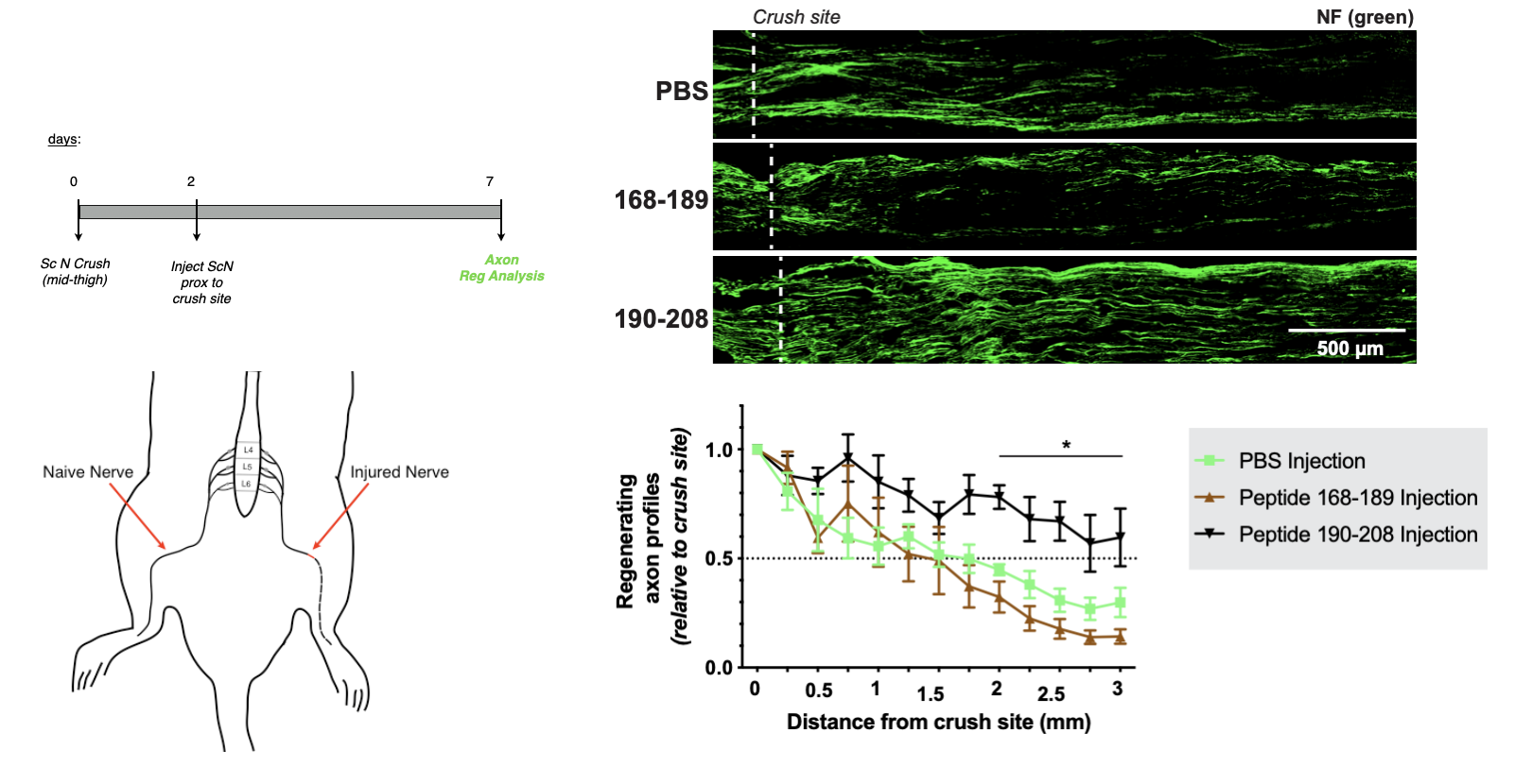 Research – Sahoo Lab