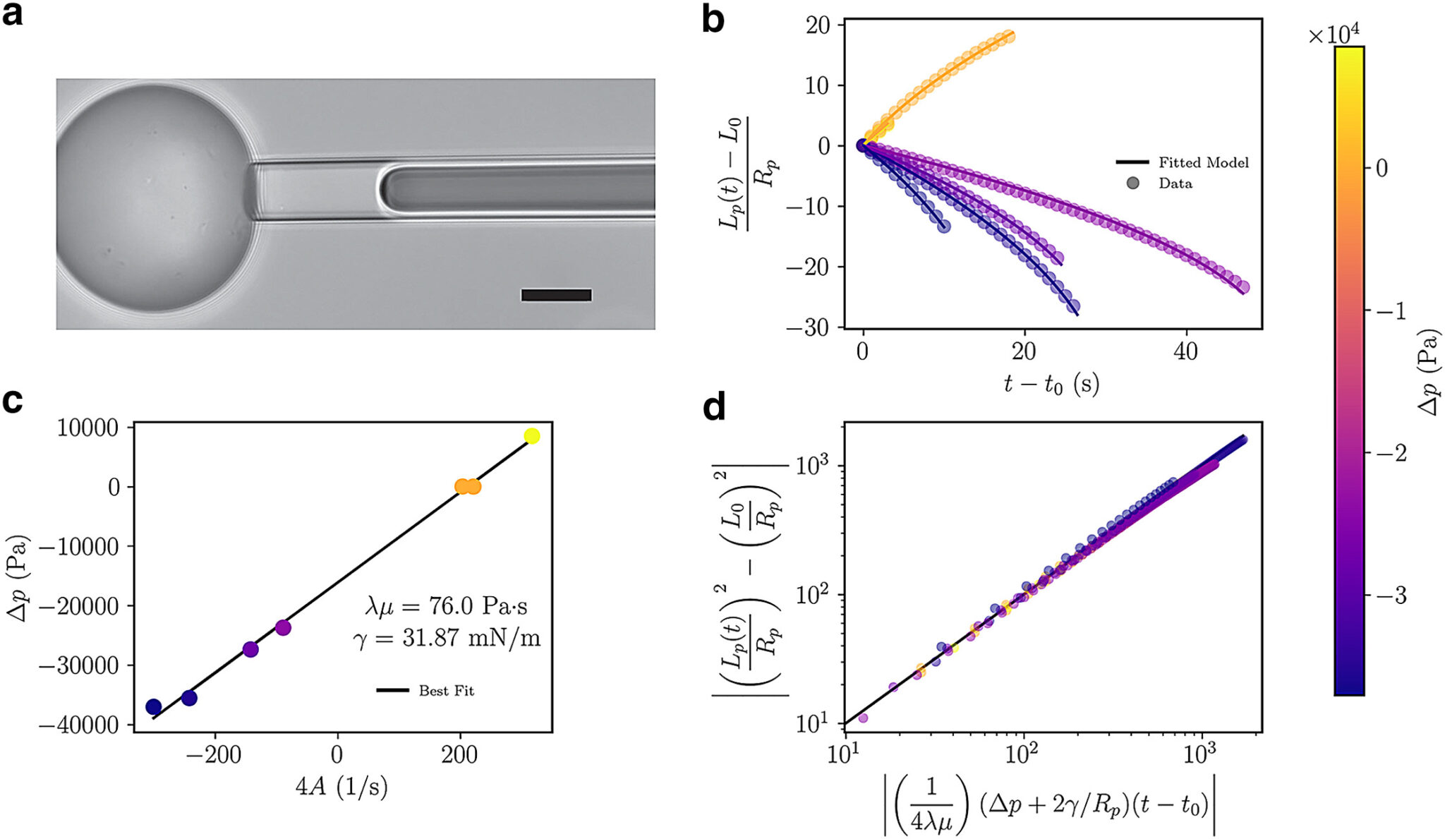 New model for aspirating condensates - Shi Lab