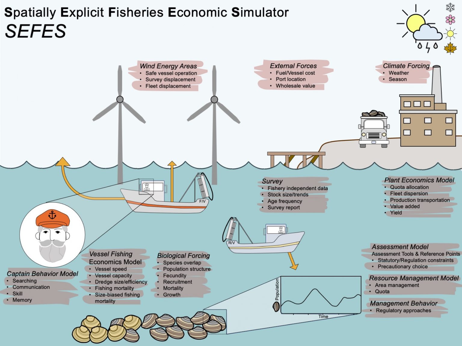 About Us – Spatial Models for Dynamic Shellfish Fisheries
